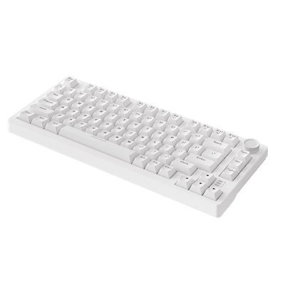 DAREU EK75 | Compact 75-Key Rainbow Wired Hotswap Keyboard – Dareu